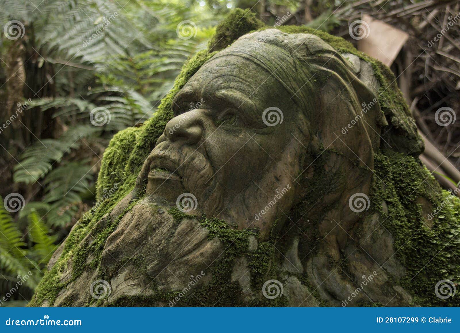 Aboriginal sculpture stock image. Image of moss, forest - 28107299