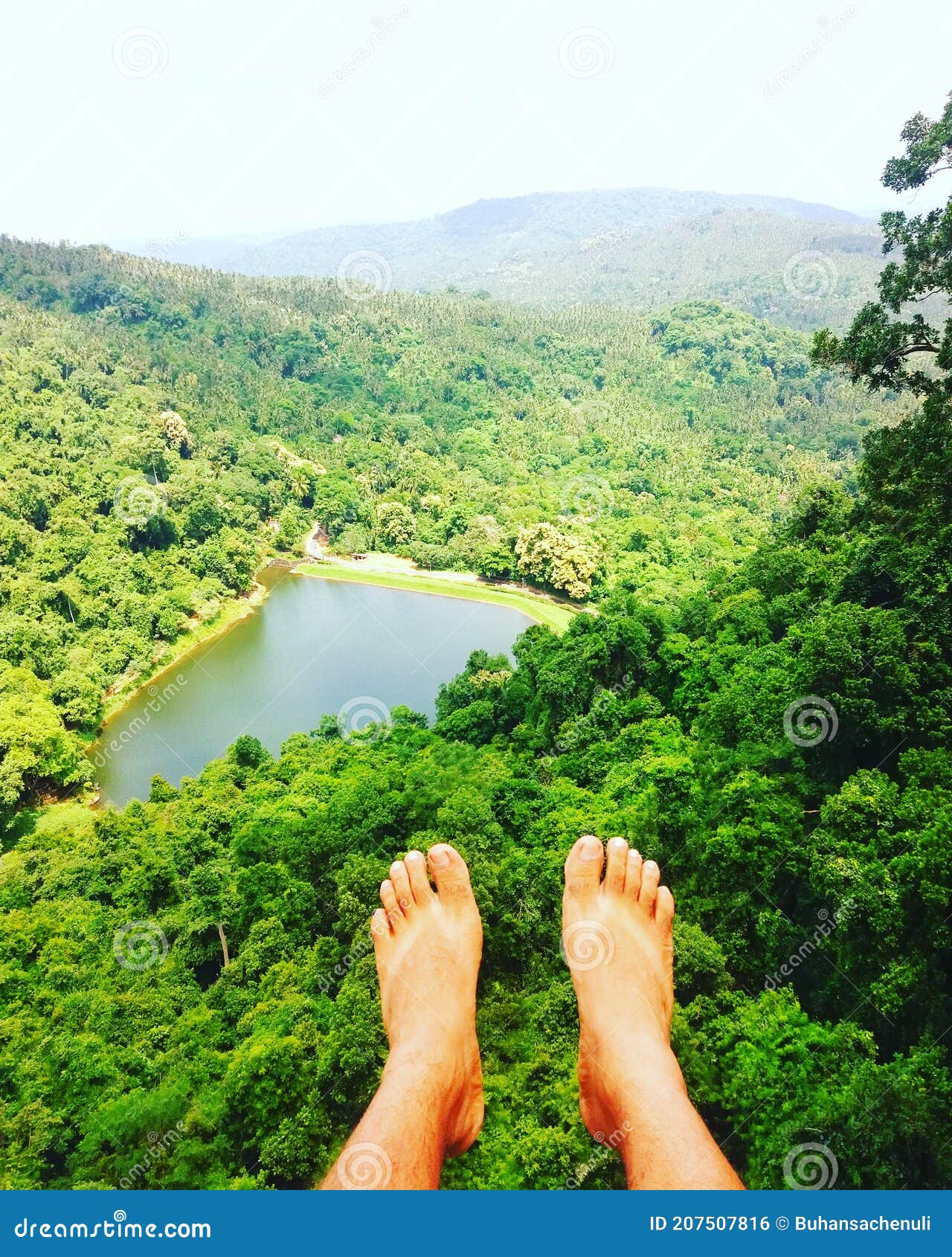From above stock photo. Image of environment, jungle - 207507816