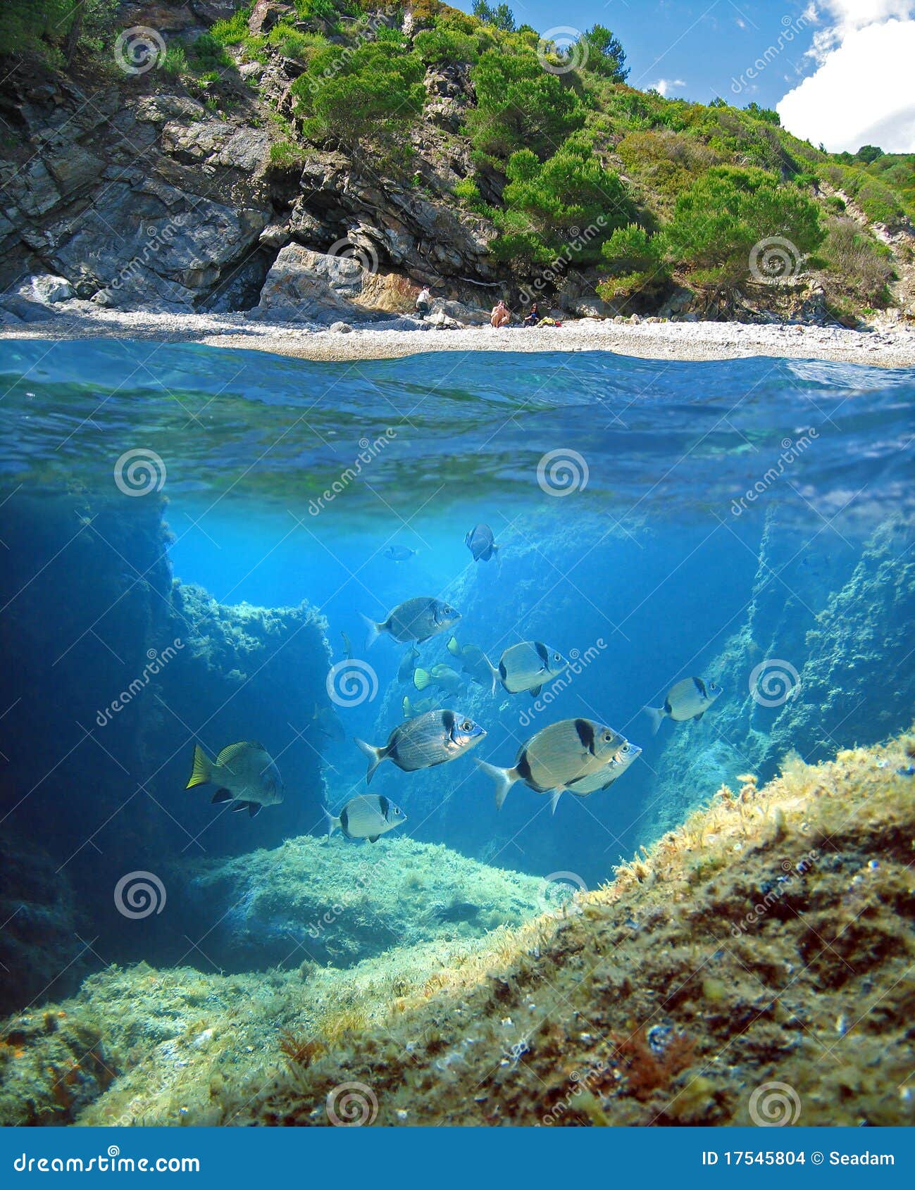 Above and below stock photo. Image of cove, peaceful - 17545804