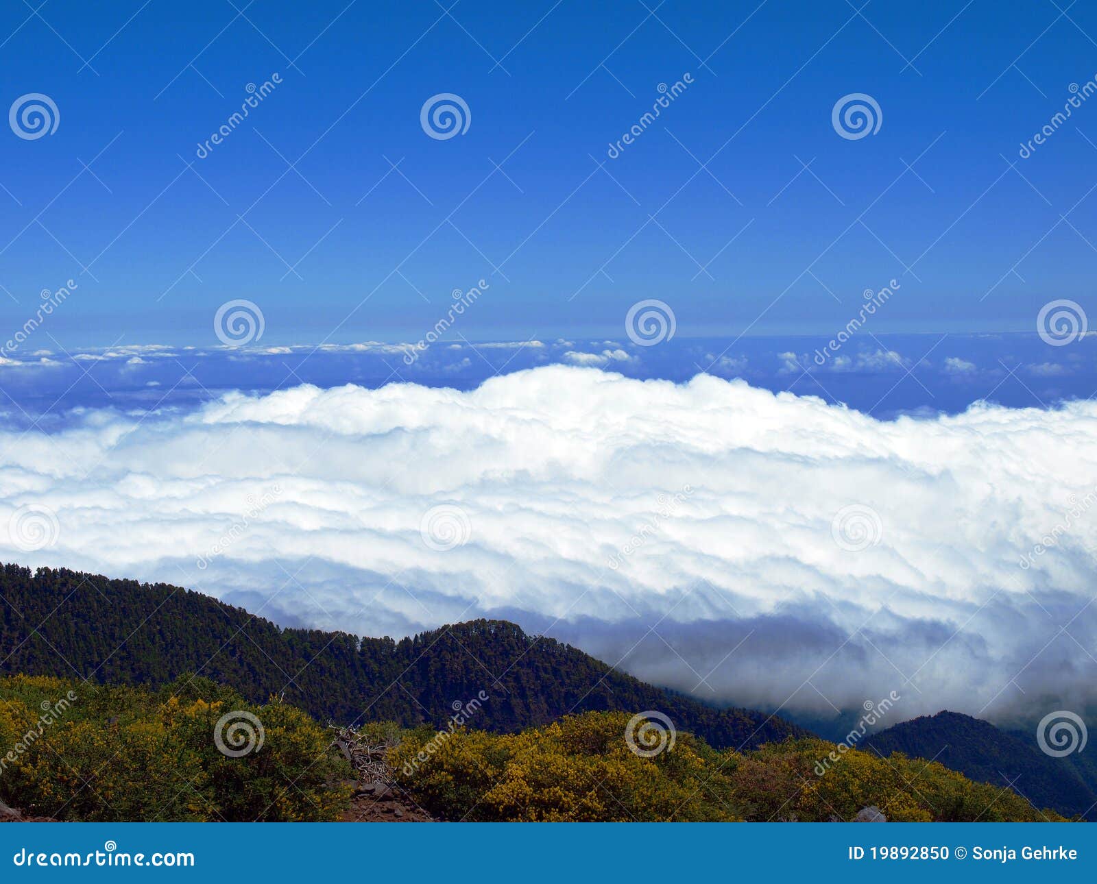 Above the clouds stock photo. Image of landscape, shrubs - 19892850
