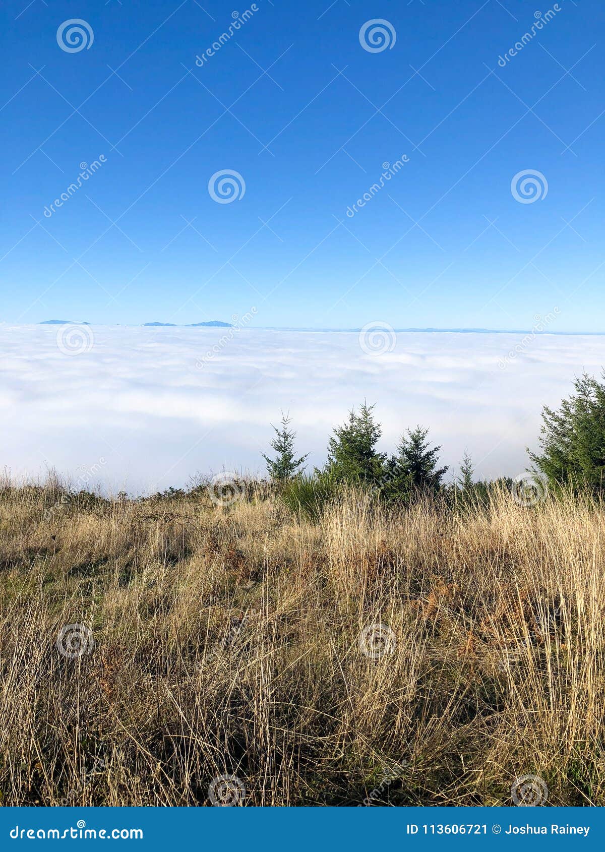 Above the Clouds Landscape stock image. Image of cloudy - 113606721
