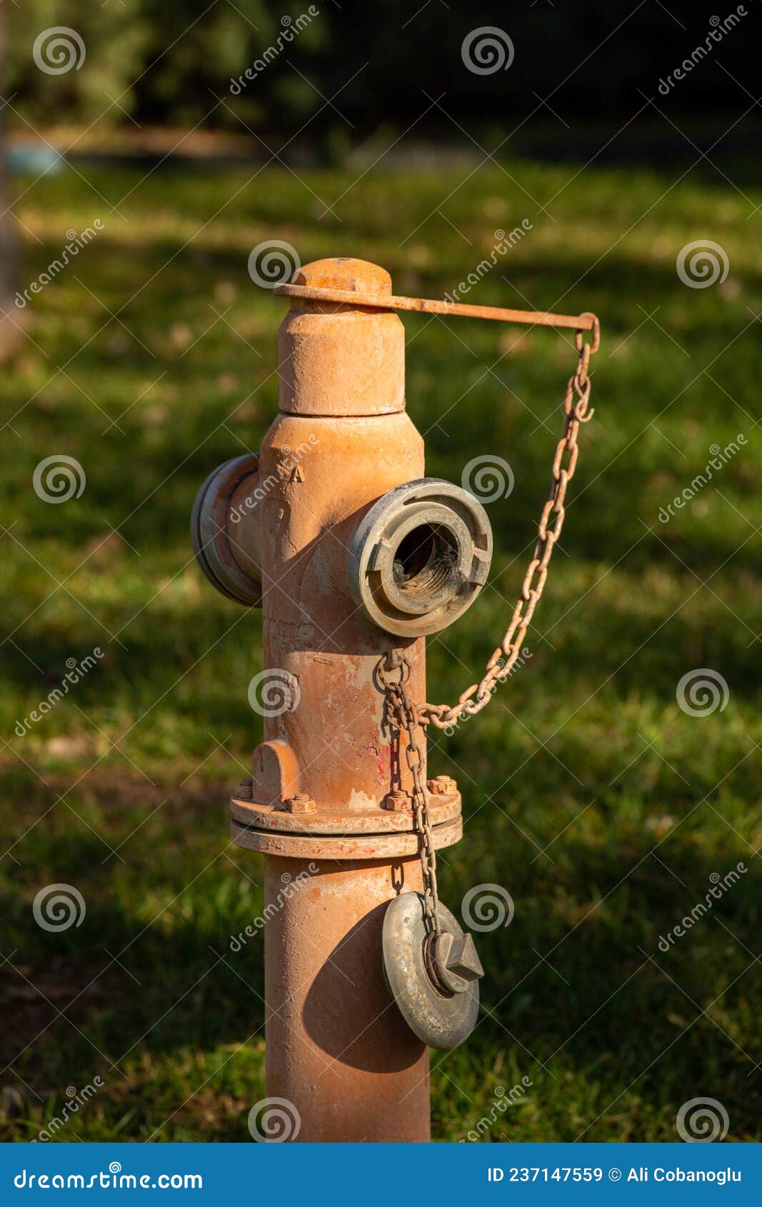 Above Ground Fire Hydrant stock image. Image of pipe - 237147559