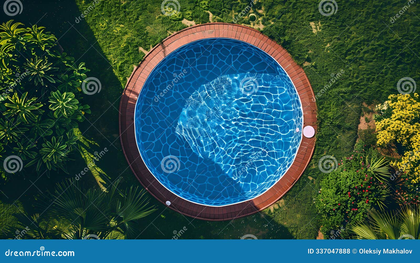 Above Ground Swimming Pool on Grass in Backyard Stock Illustration ... Above Ground Swimming Pool on Grass in Backyard Stock Illustration ...