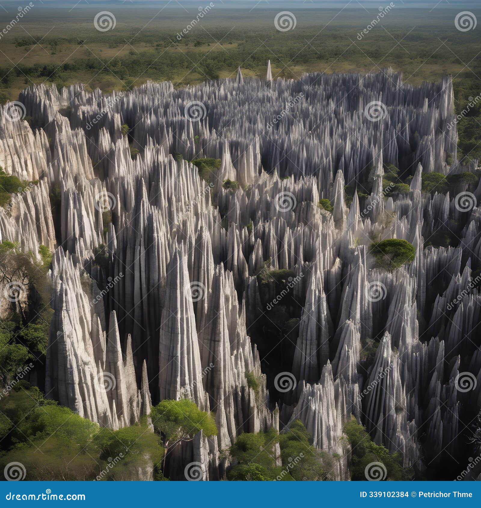 Above the Jungle: Discovering the Stunning Limestone Formations of ...