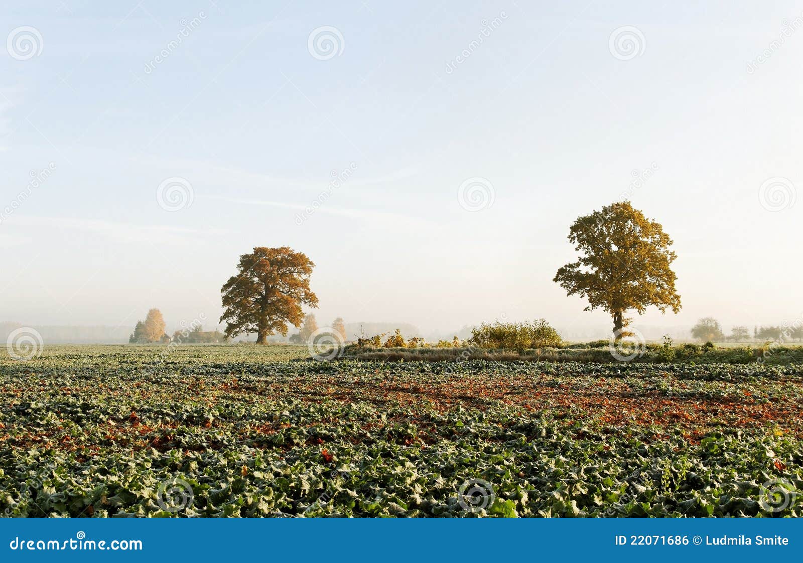 Above land. stock photo. Image of horizontal, ground - 22071686