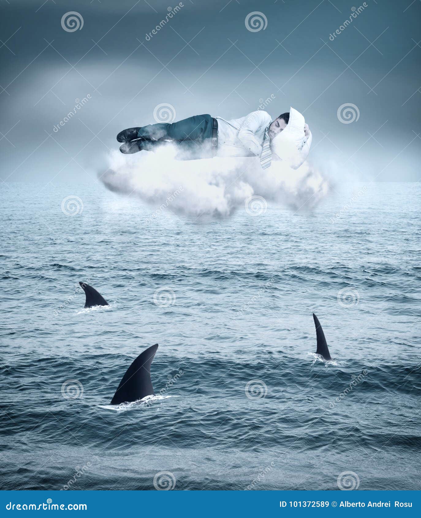 Above sharks stock image. Image of tired, hunt, ocean - 101372589