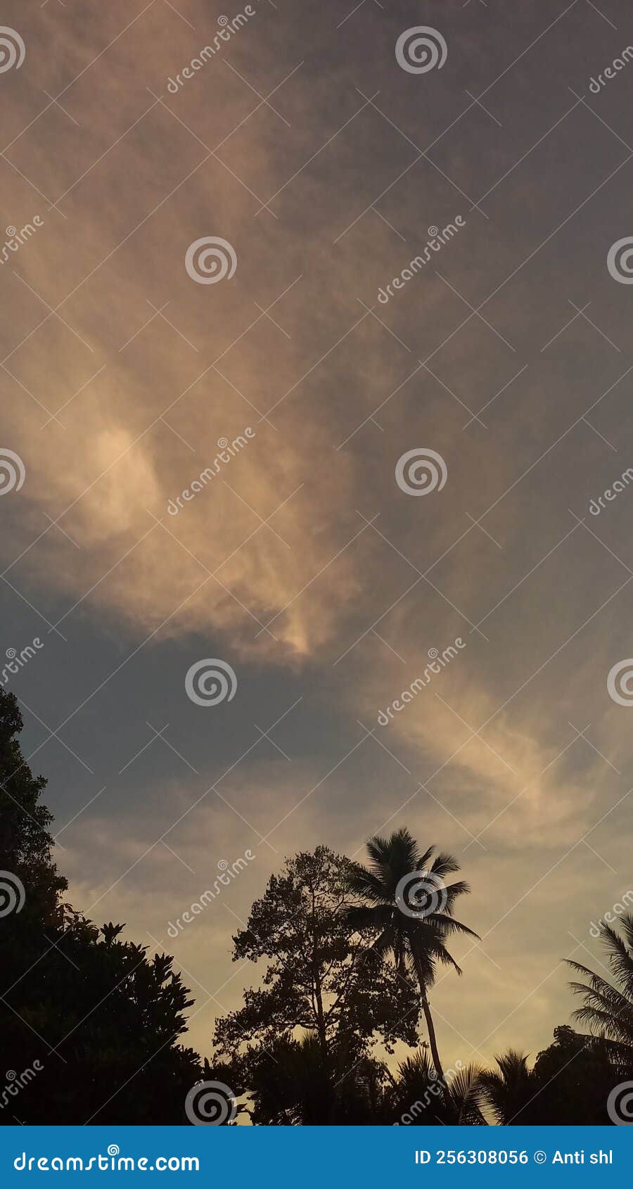 Above the Sky so Beautiful with Trees and Clouds Stock Photo - Image of ...