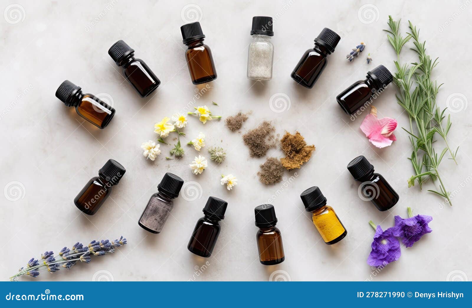 From Above a Stunning Assortment of Essential Oils Forms an Aromatic ...