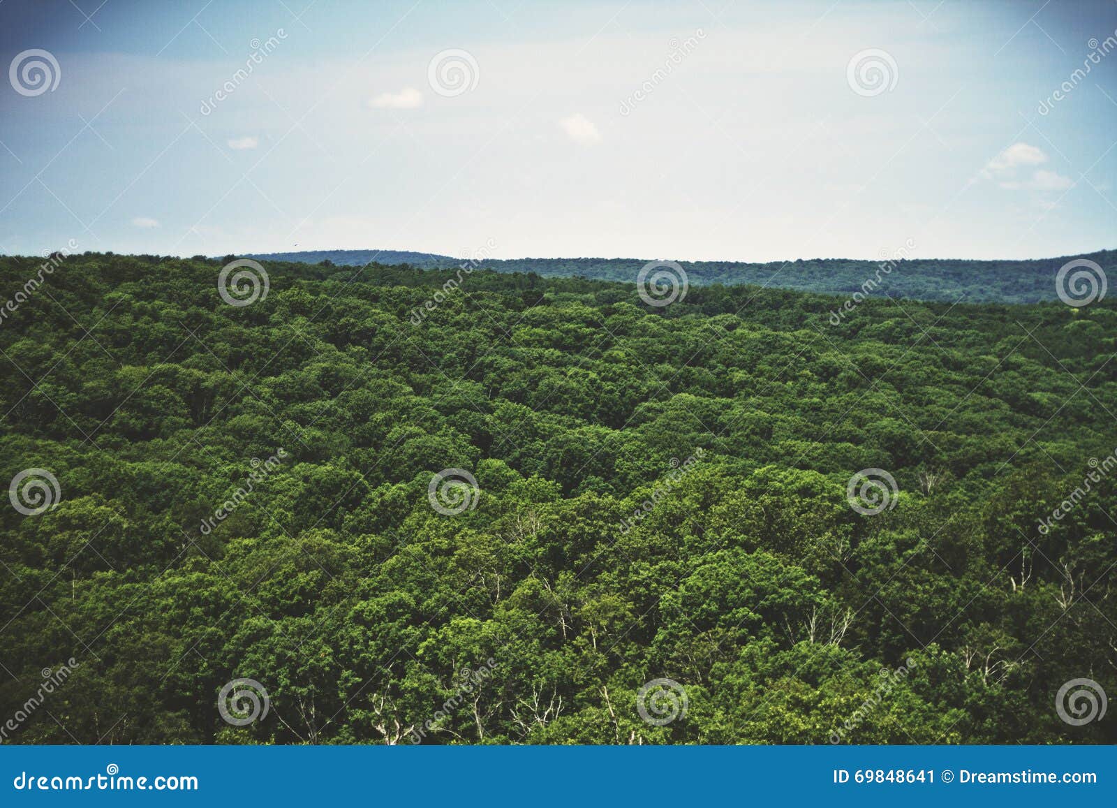 Above the tree line stock image. Image of treeline, line - 69848641