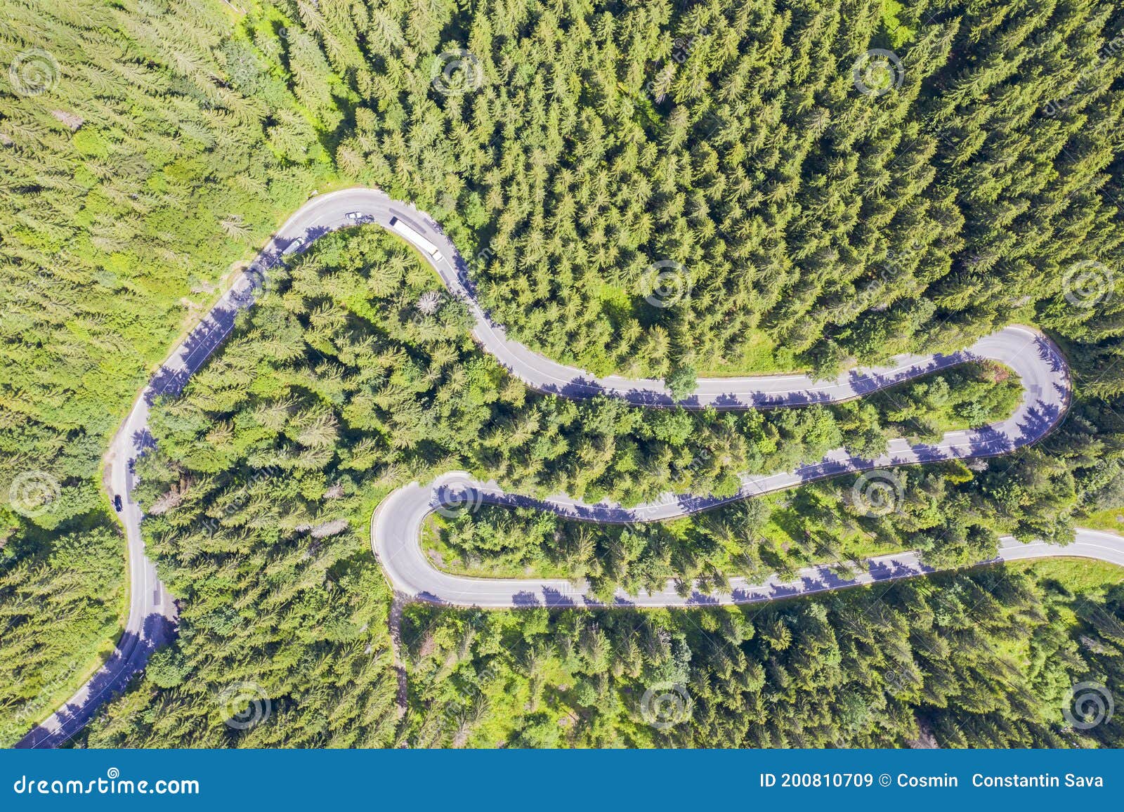 Above View of Curved Road in Green Forest Stock Image - Image of ...
