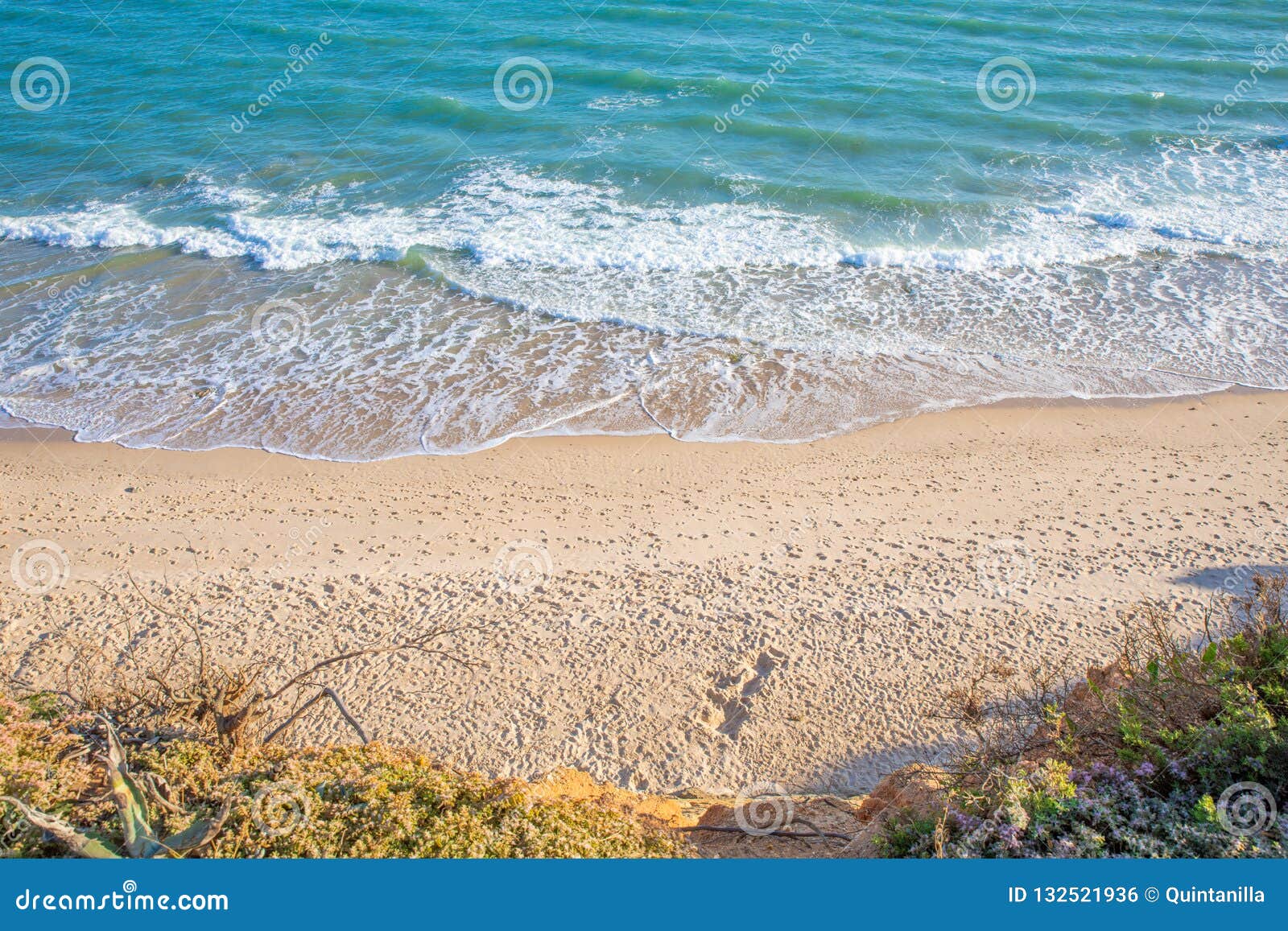 Above View of Line of Seashore with Multiple Footprints Stock Photo ...