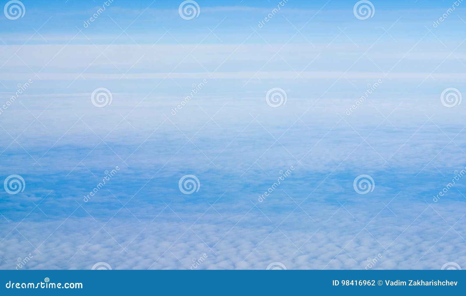 Top View Of Dim Sum Set, Many Plate, Shumai Siu Mai Shrimp & Pork ...