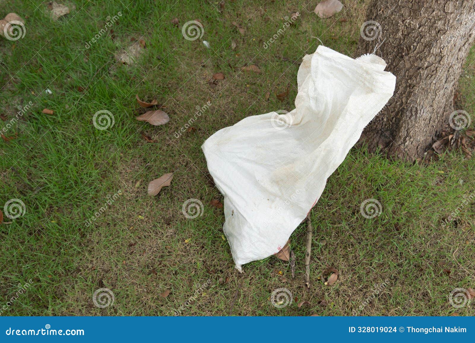 Above View of White Sack Containing Something Inside. Stock Photo ...