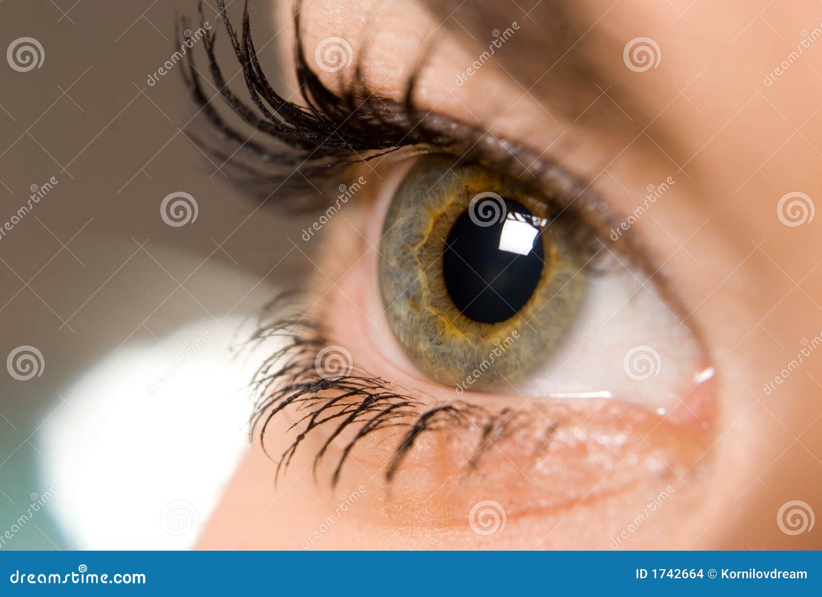 Abra el ojo foto de archivo. Imagen de gente, observar - 1742664