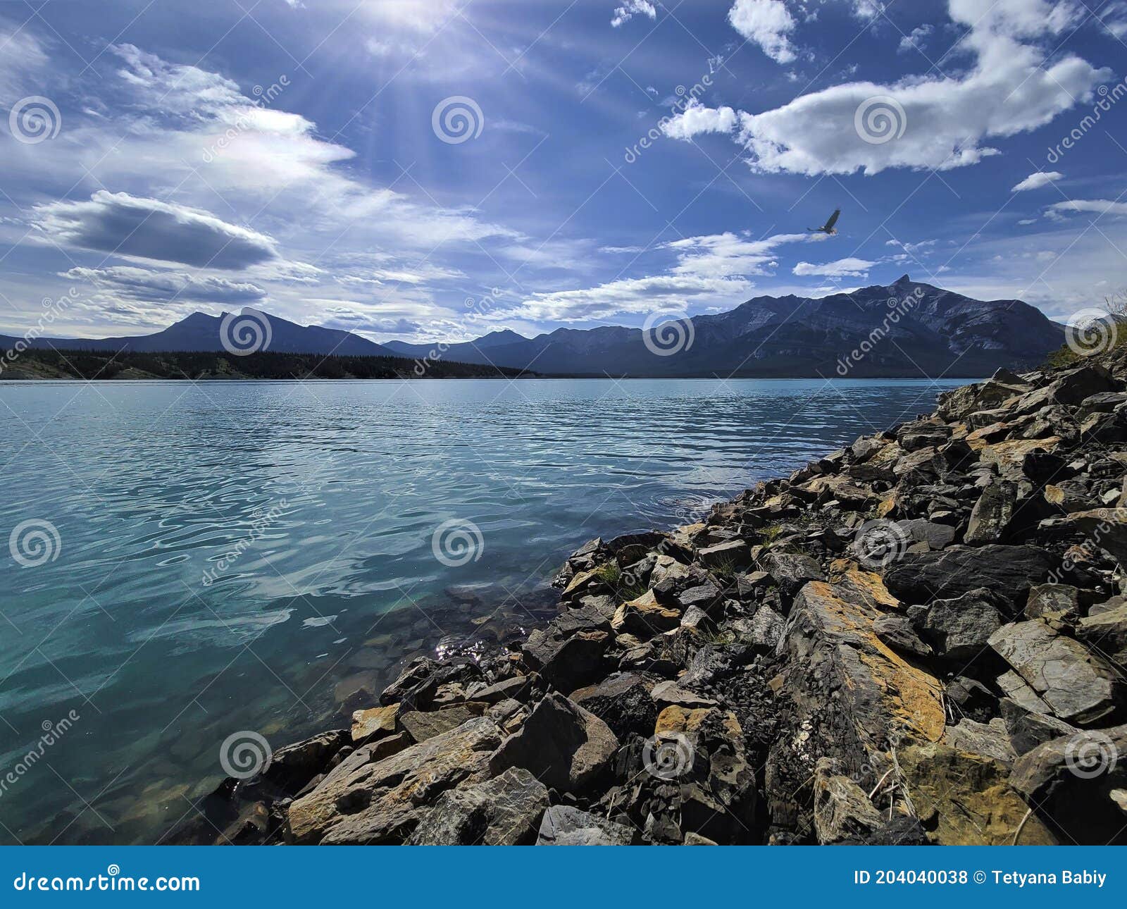 Abraham Lake in Alberta, Canada. Stock Photo - Image of front ...