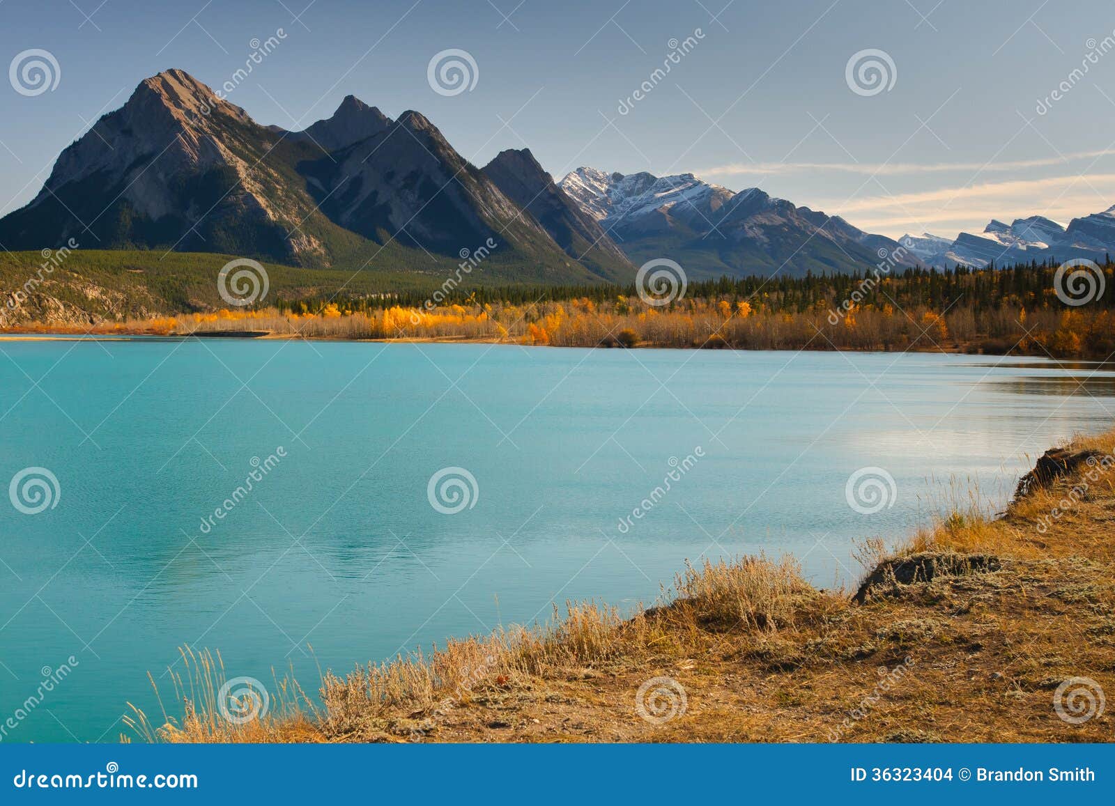 Abraham Lake stock photo. Image of forest, fall, travel - 36323404
