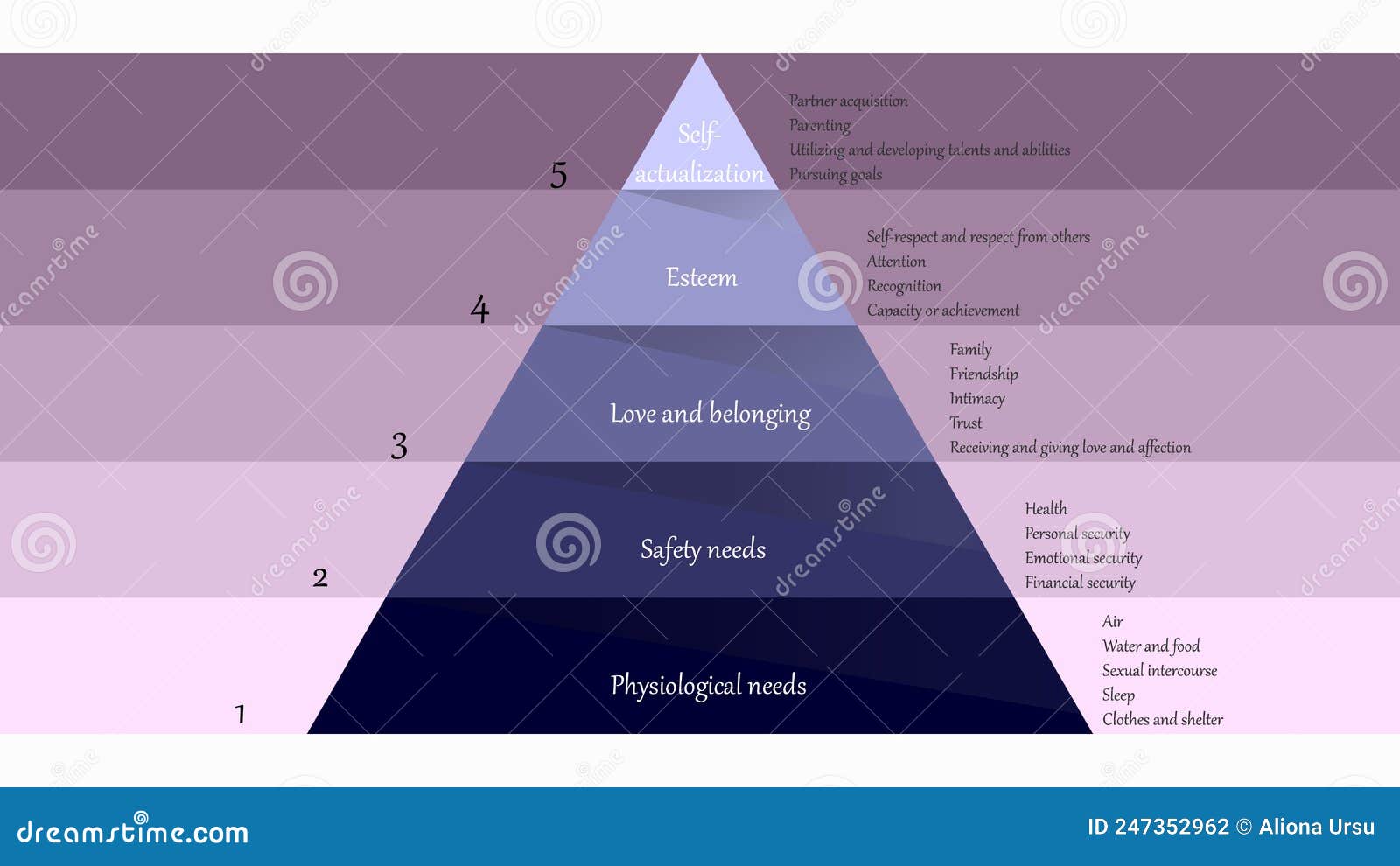 Abraham Maslow Pyramid of Needs Stock Vector - Illustration of website ...