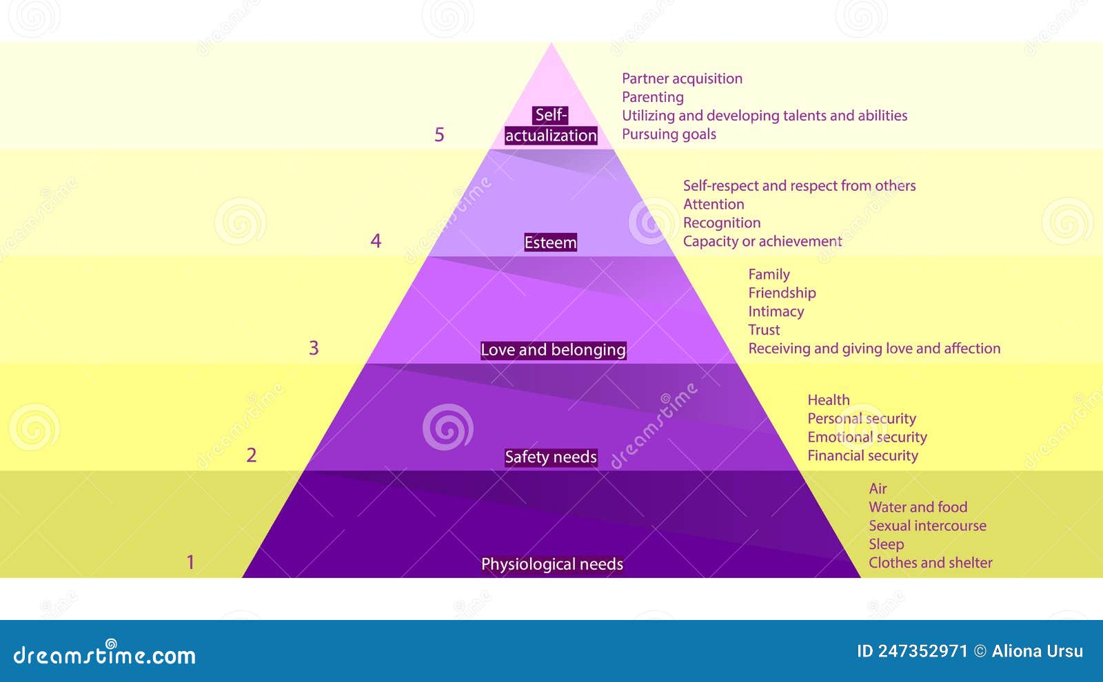 Abraham Maslow Pyramid Of Needs Cartoon Vector | CartoonDealer.com ...