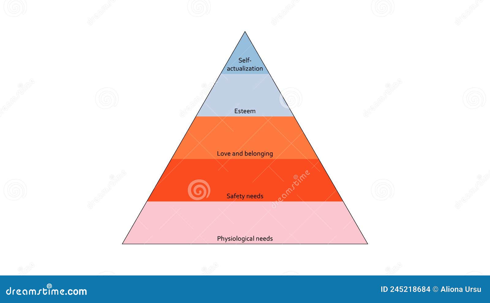 Abraham Maslow Pyramid Vector Illustration | CartoonDealer.com #245218684