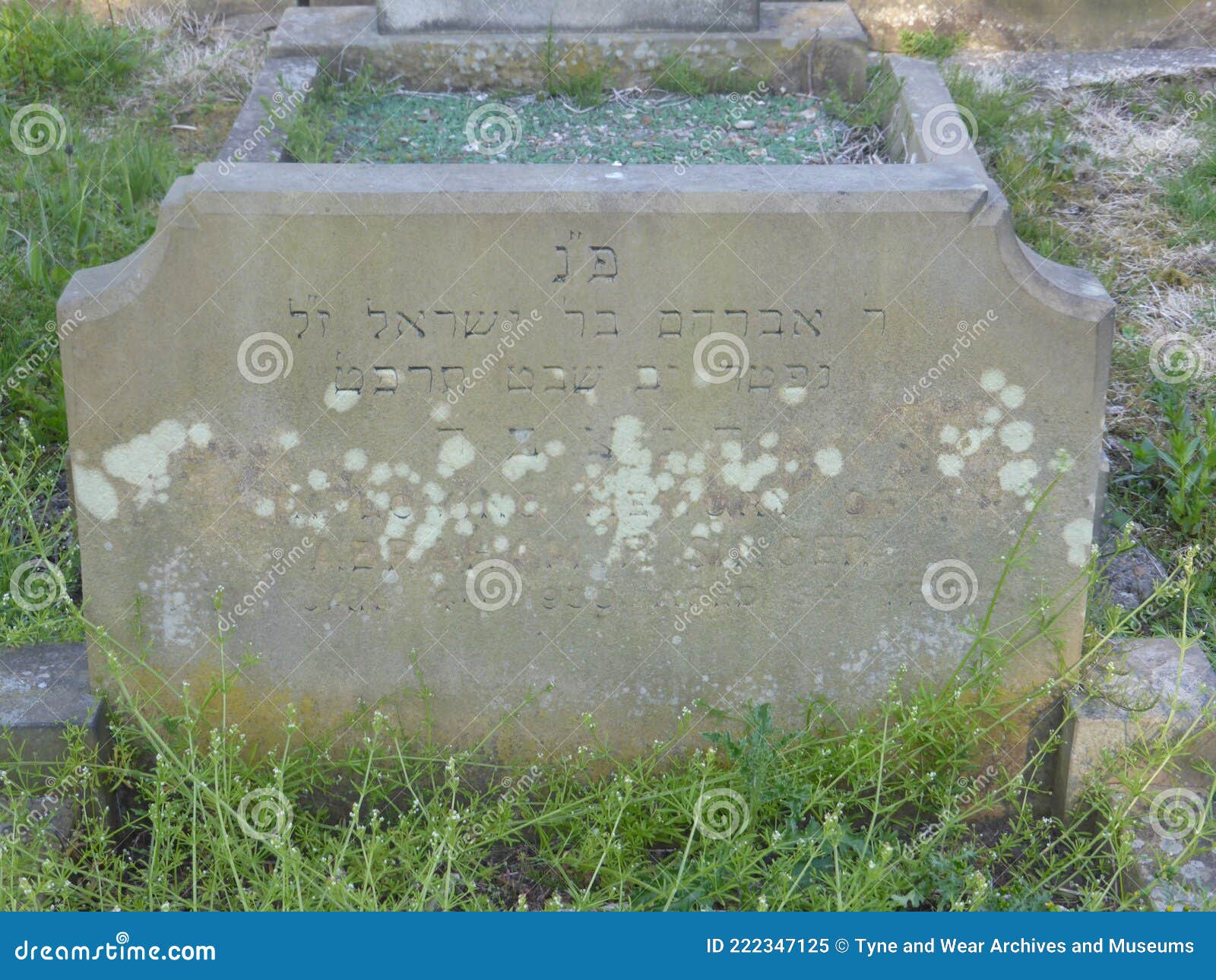 Abraham Singer Picture. Image: 222347125