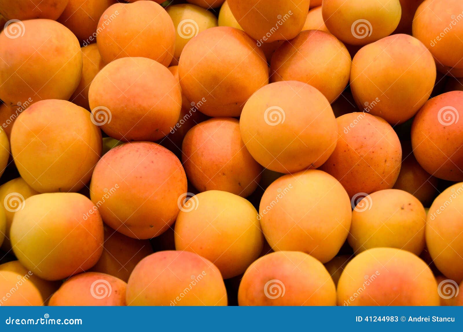 Abricós frescos imagem de stock. Imagem de alimento, alperces - 41244983