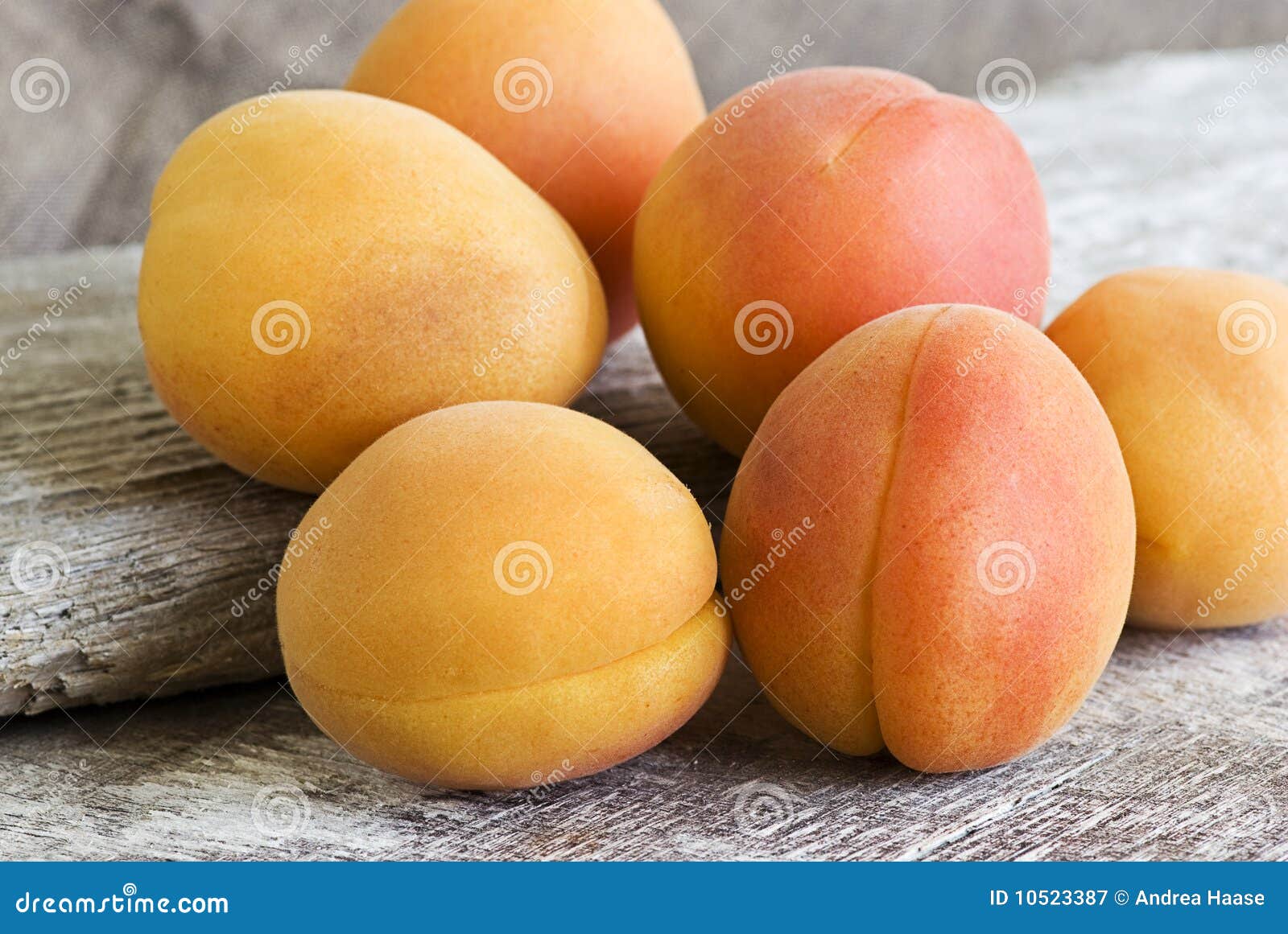 Abricot image stock. Image du juteux, normal, mûr, fruits - 10523387
