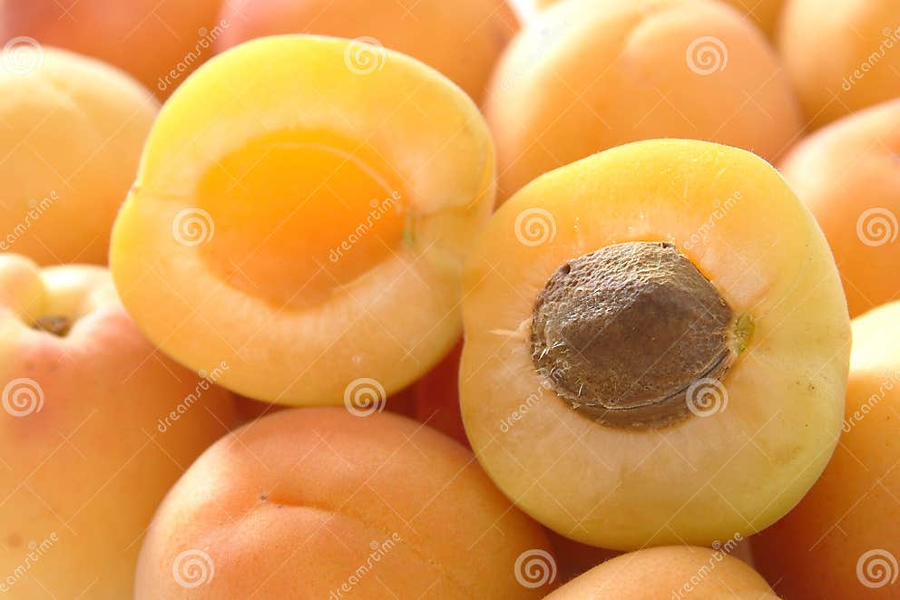 Abricot stock image. Image of structure, stand, health - 230915