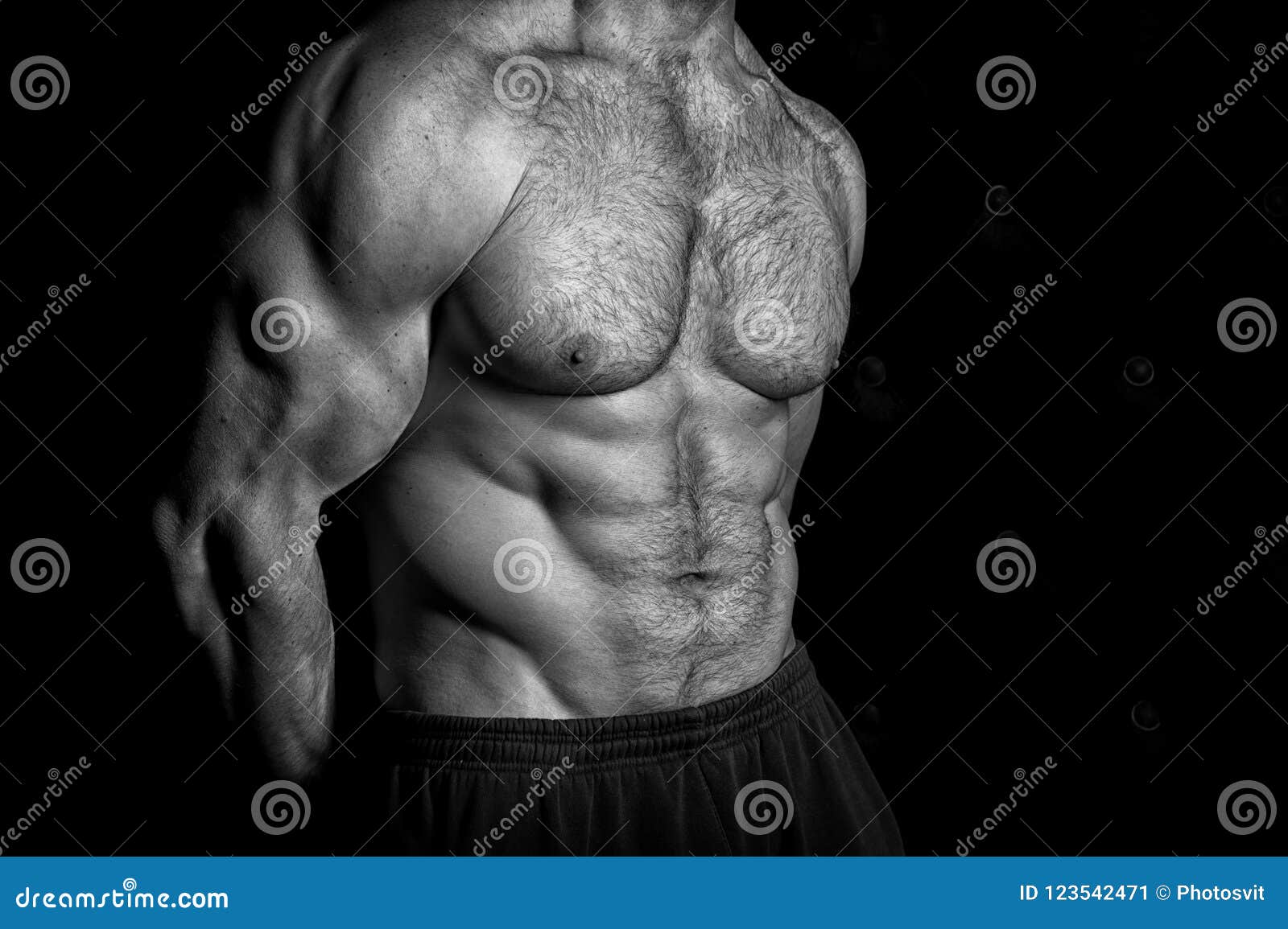 Abs Concept. Torso with Six Pack Abs. Workout Abs Stock Image - Image ...