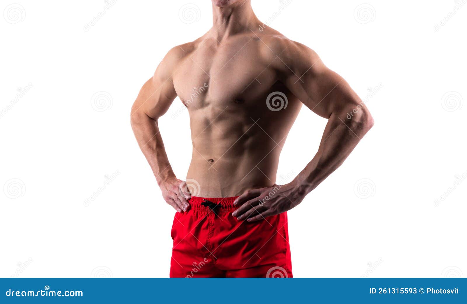Abs and Torso. Bodybuilder with Abs Isolated on White. Cropped View of ...