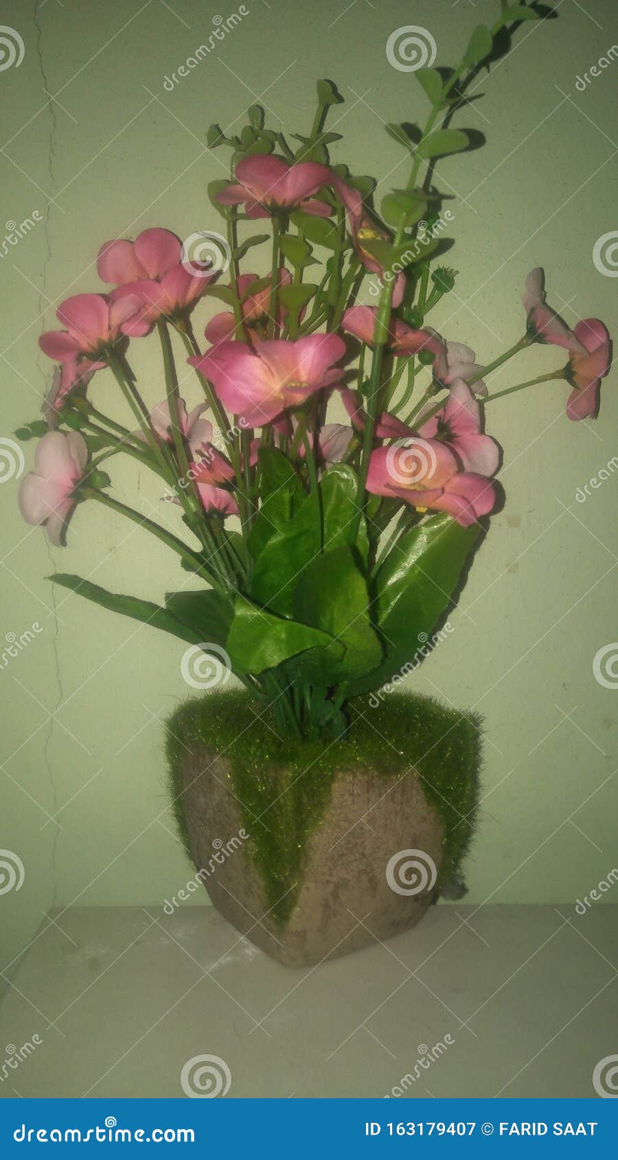 Absolutely amazing stock image. Image of great, likely - 163179407