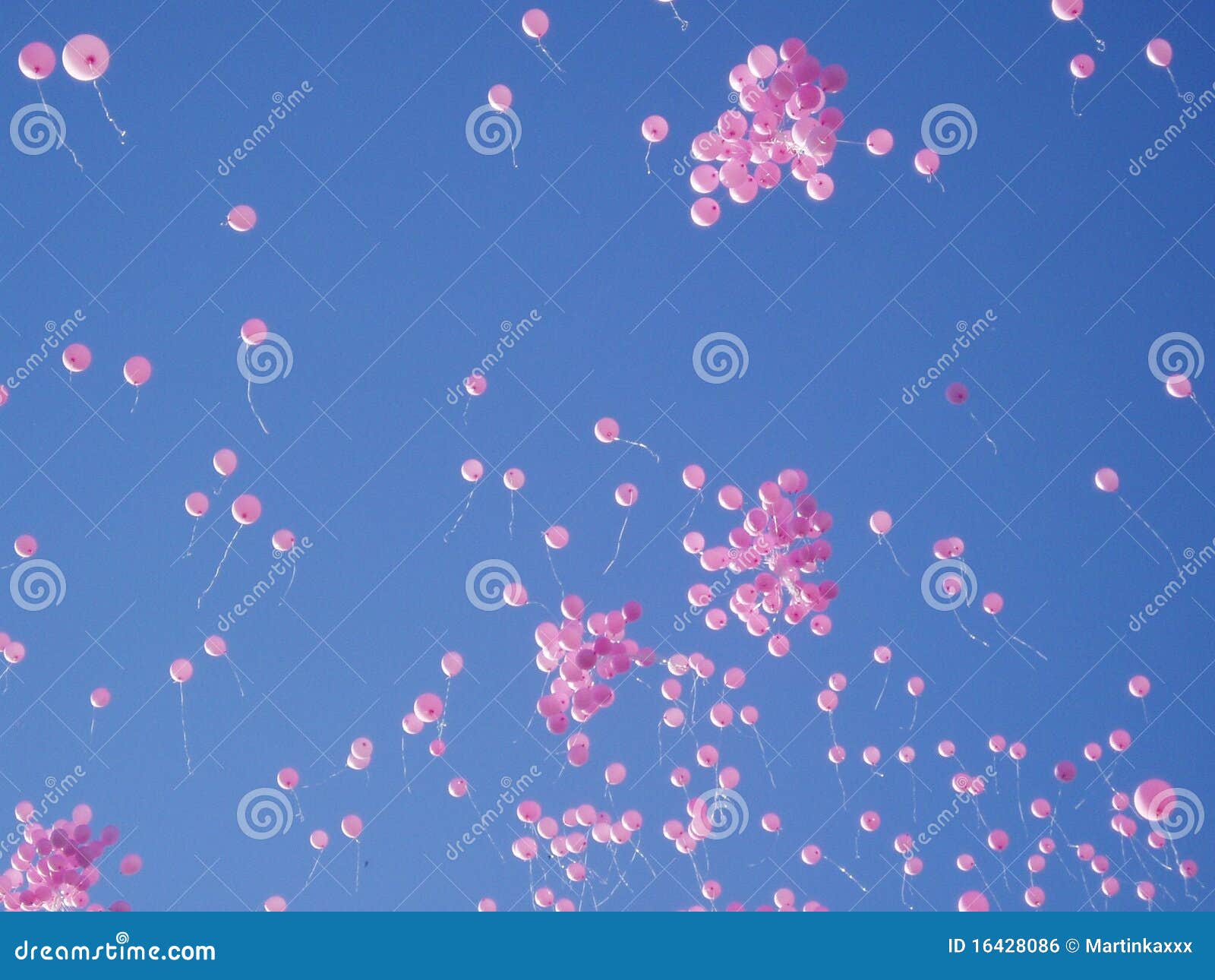 Absolutely free stock photo. Image of love, balloon, nature - 16428086