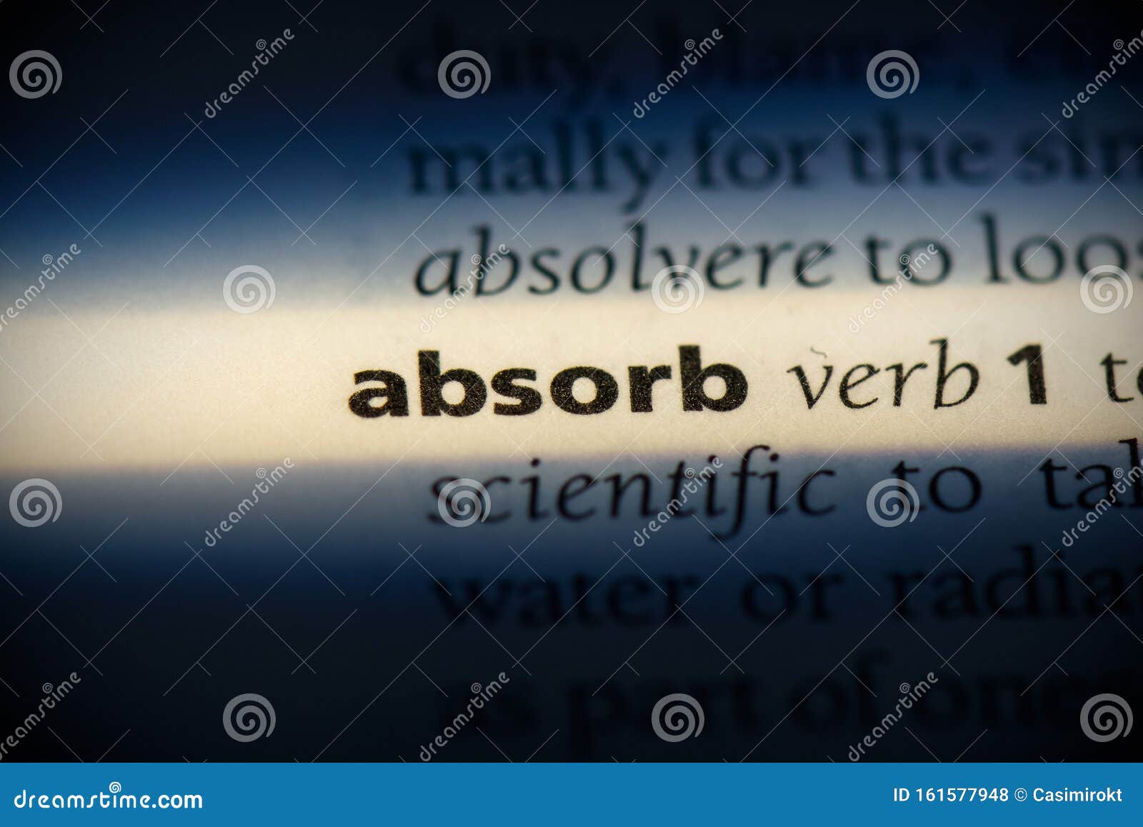 Absorb stock photo. Image of etymology, concept, page - 161577948