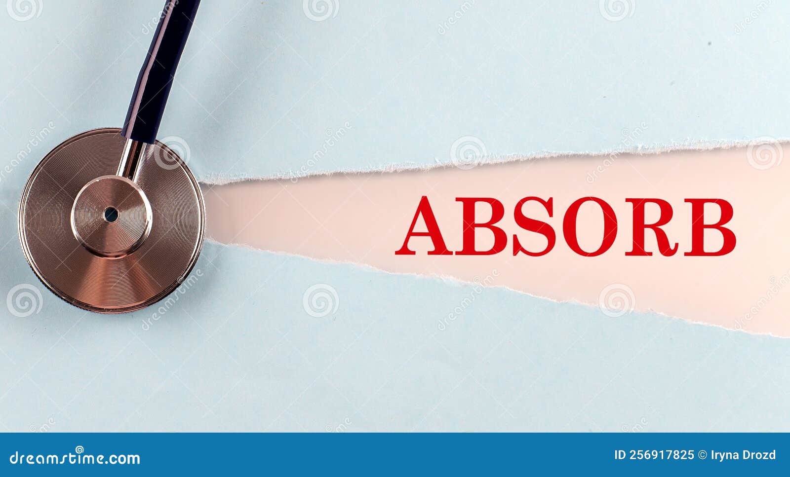 ABSORB Word Made on Torn Paper, Medical Concept Background Stock Image ...