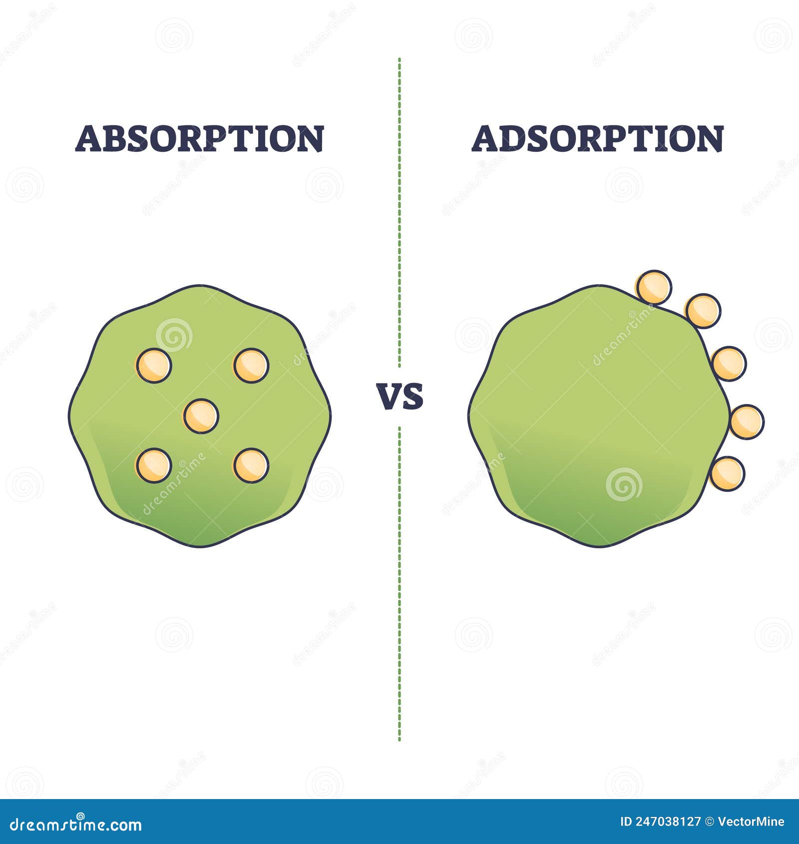 Absorption Vs Adsorption Differences on Molecular Surface Outline ...