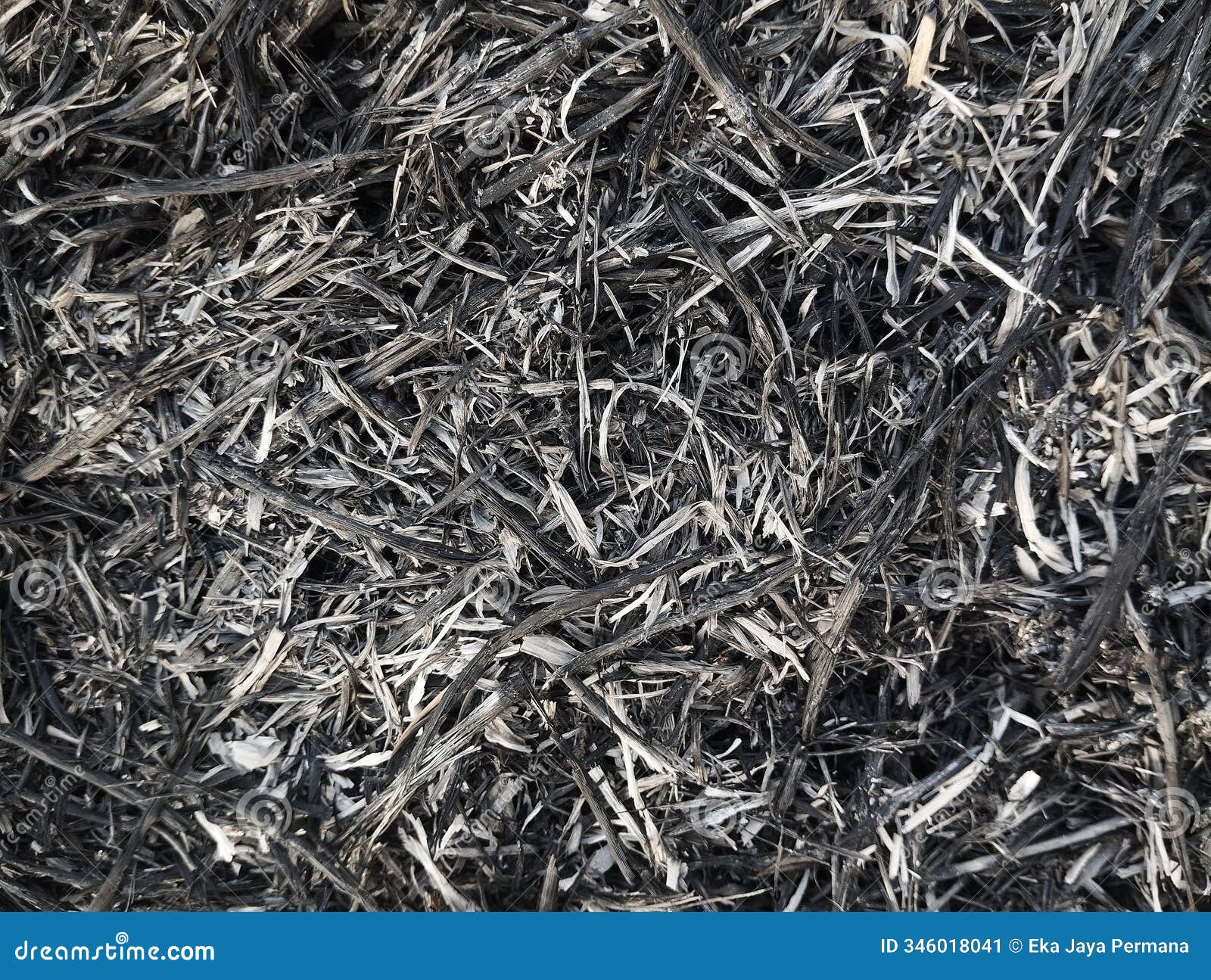 Abstrack Ash Left Over from Burning Rice Straw Texture Background Stock ...