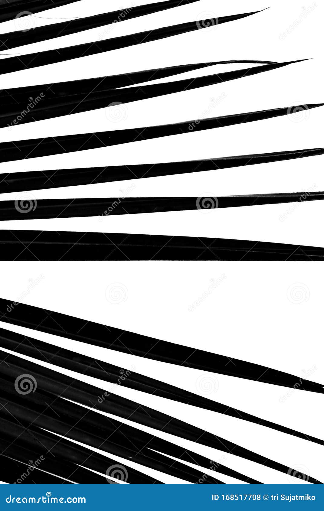 Abstrack White Color Rustic Dry Rough Complicated Texture Wallpaper ...