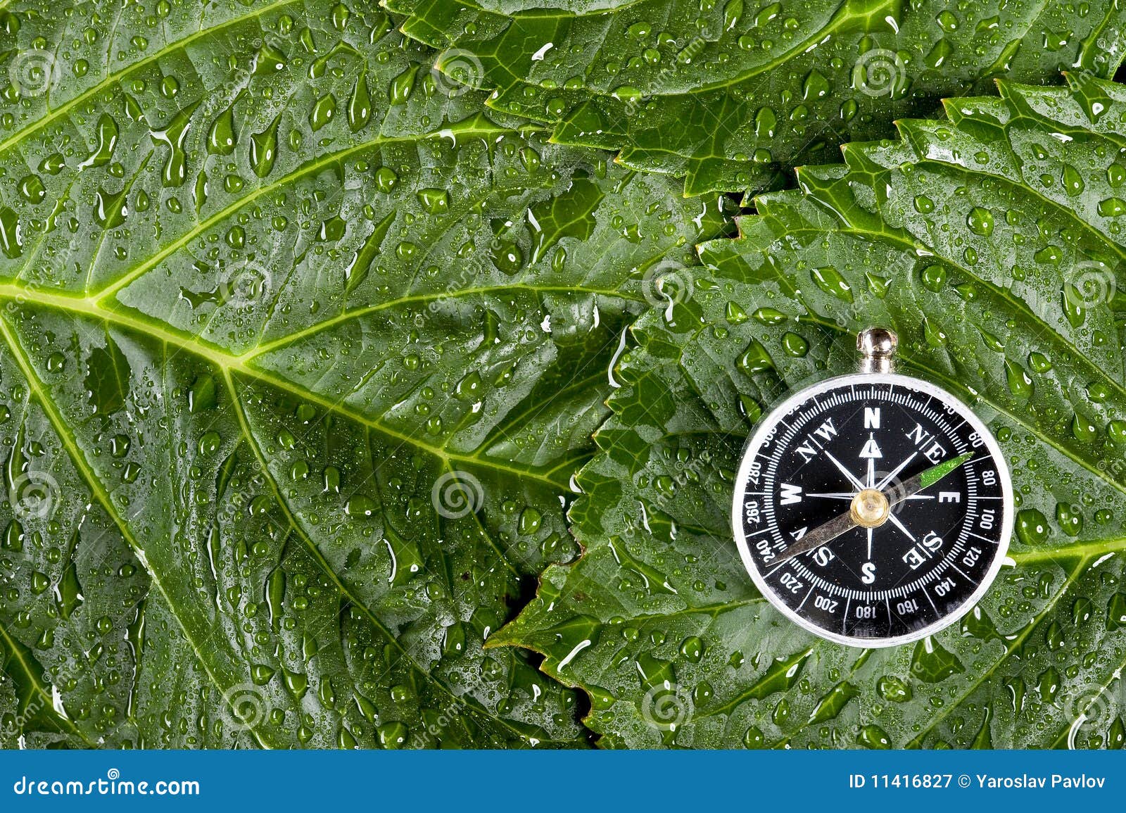 Abstract stock image. Image of backgrounds, extreme, direction - 11416827