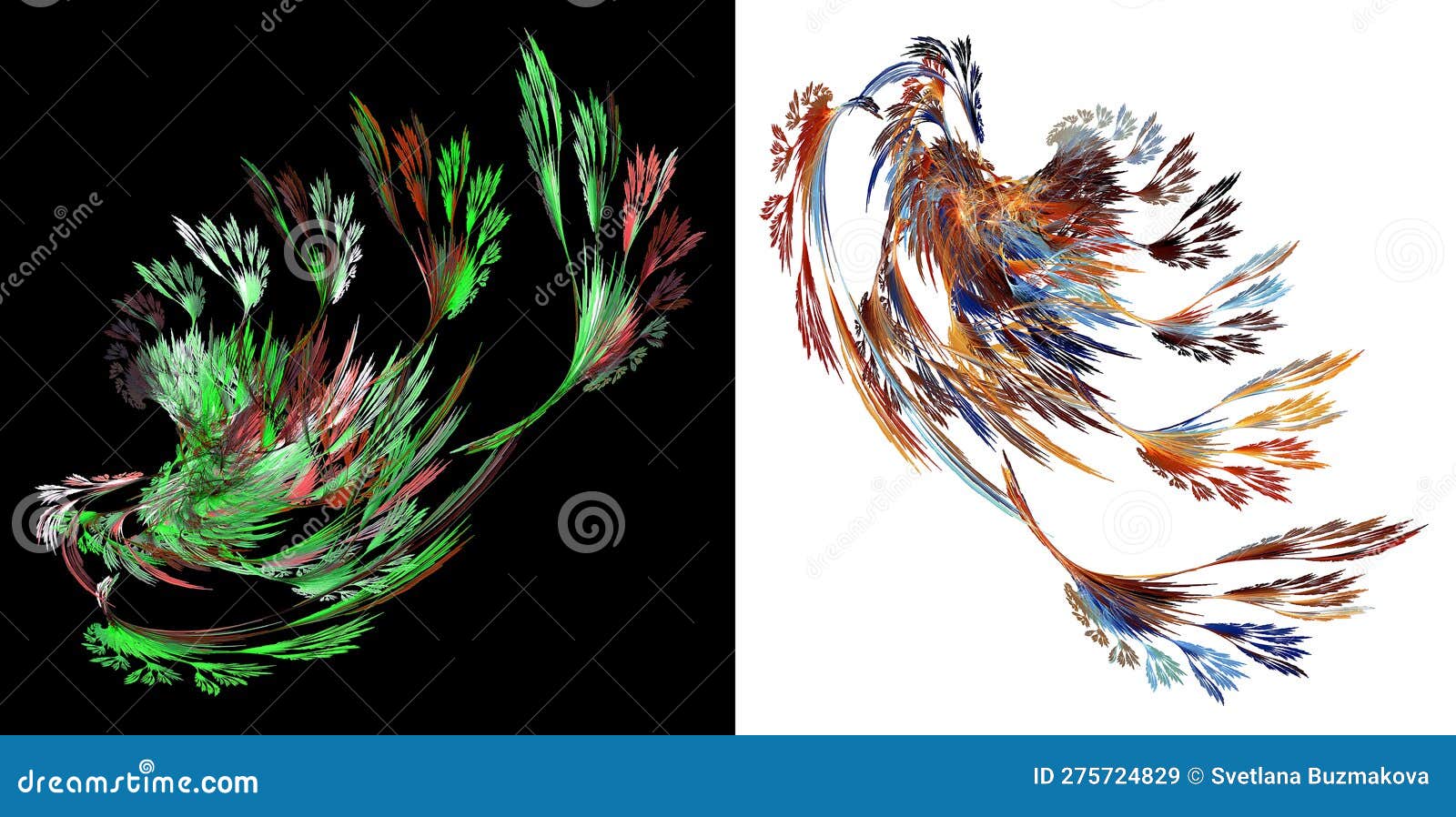 Abstract Aerial Dynamic Wings on White and Black Backgrounds. Set of ...