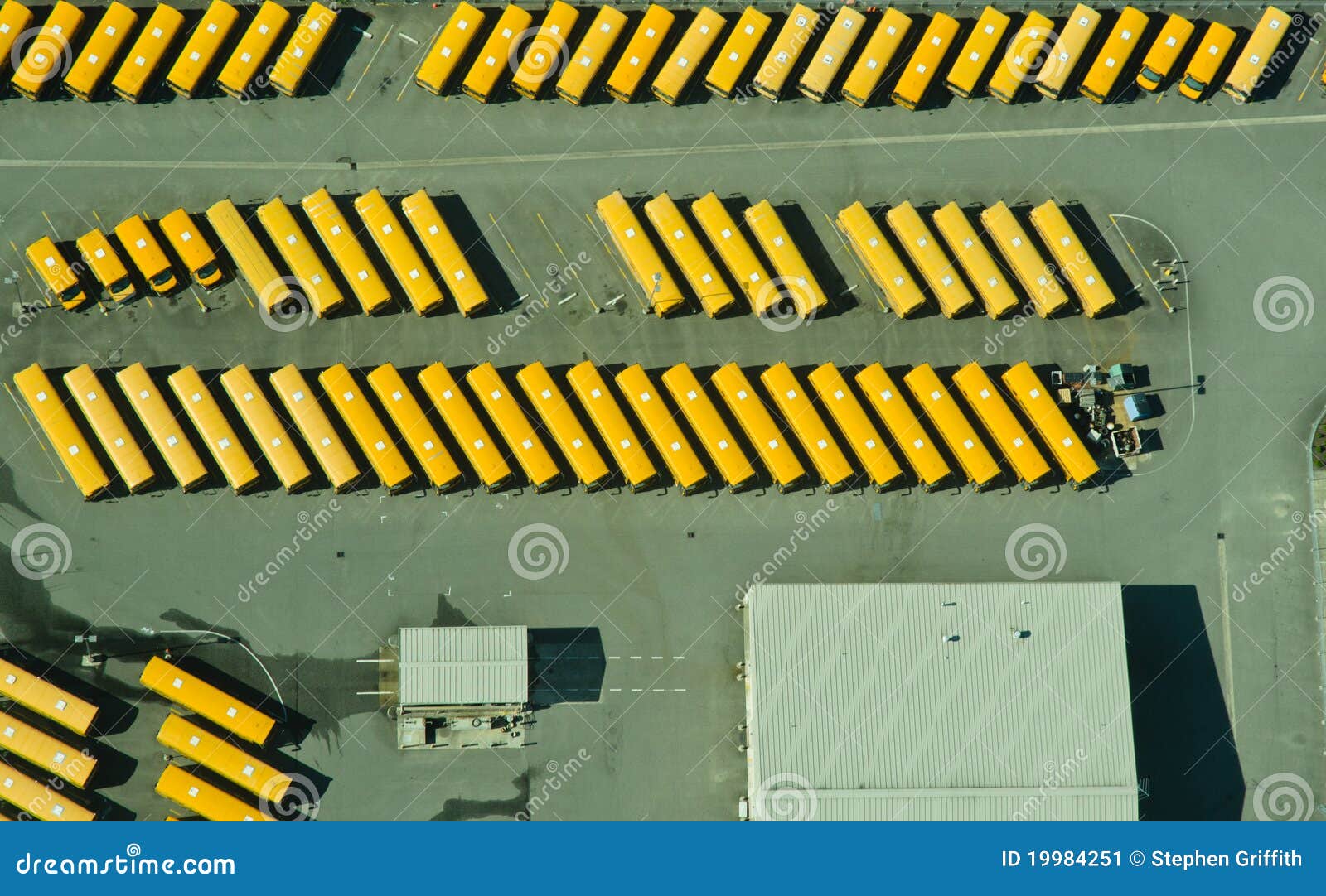 School Bus Aerial View
