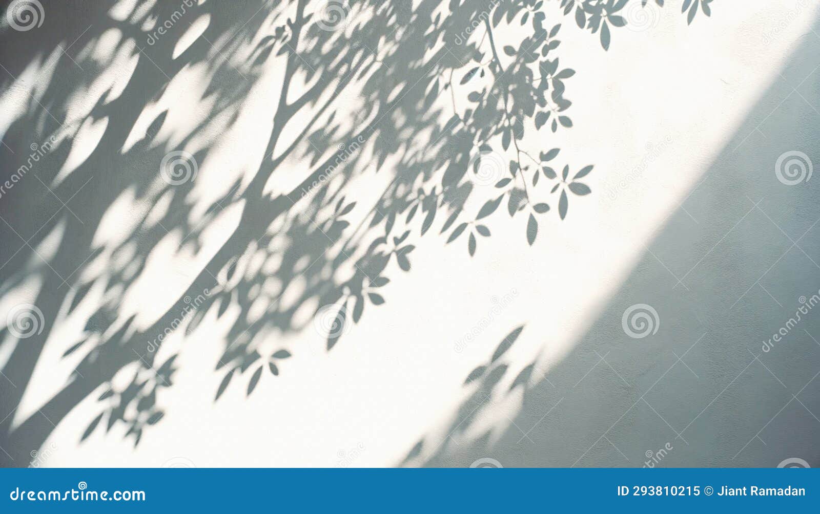 Abstract Aesthetic Shadow on White Textured Wall. Elegant Shadow ...