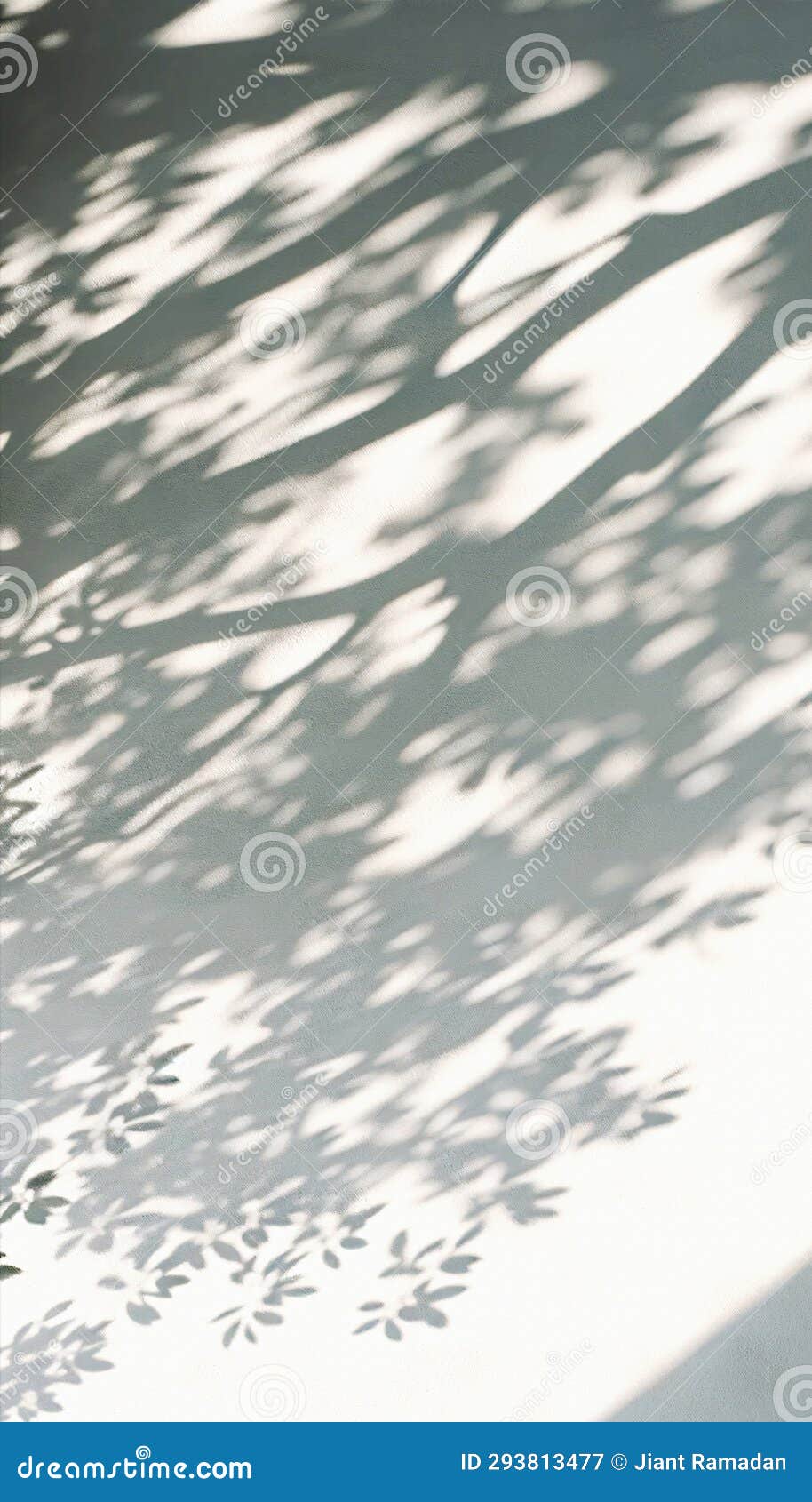 Abstract Aesthetic Shadow on White Textured Wall. Elegant Shadow ...