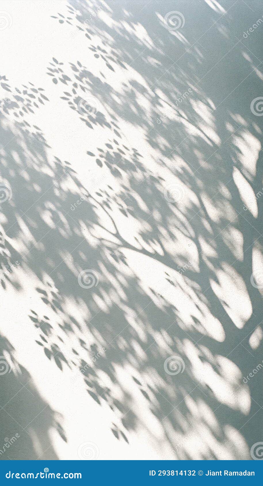 Abstract Aesthetic Shadow on White Textured Wall. Elegant Shadow ...
