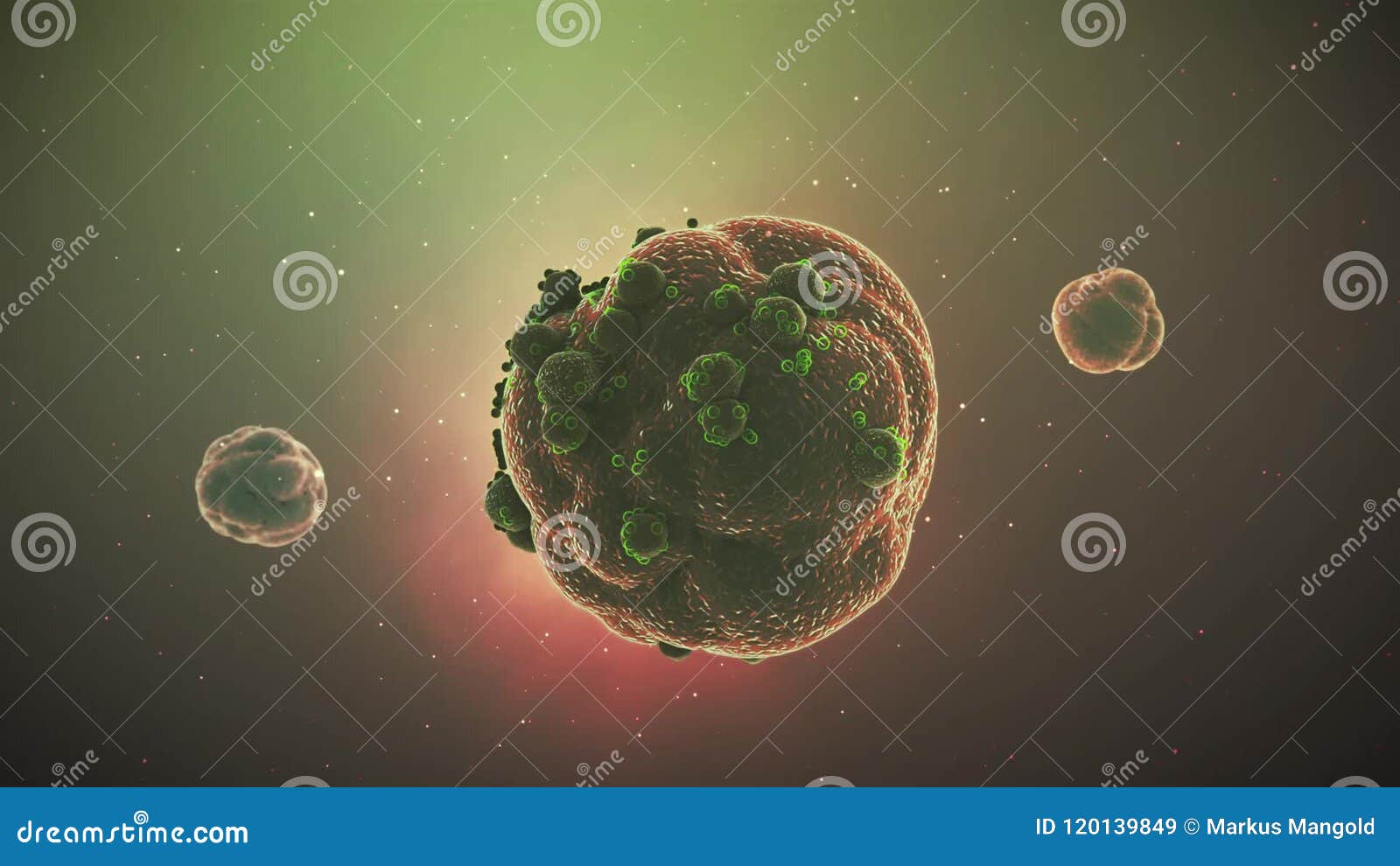 Abstract Animation of Bacteria in Microscopic View Stock Video - Video ...