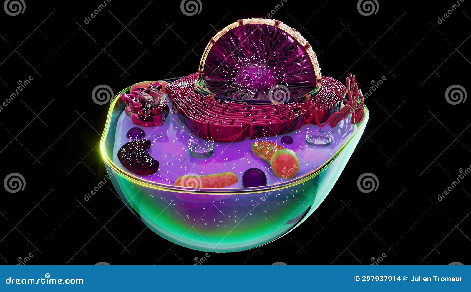 Abstract Animation of the Biological Cell Stock Footage - Video of ...