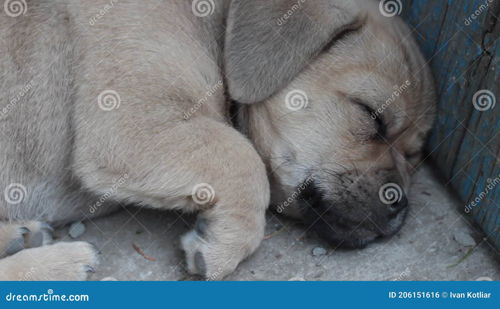 Abstract Animation of Typing Program Code on Device Screen. Hacker ...