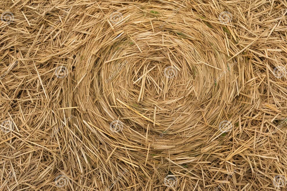 Abstract Approach To a Hay Bale Displaying Texture Stock Photo - Image ...