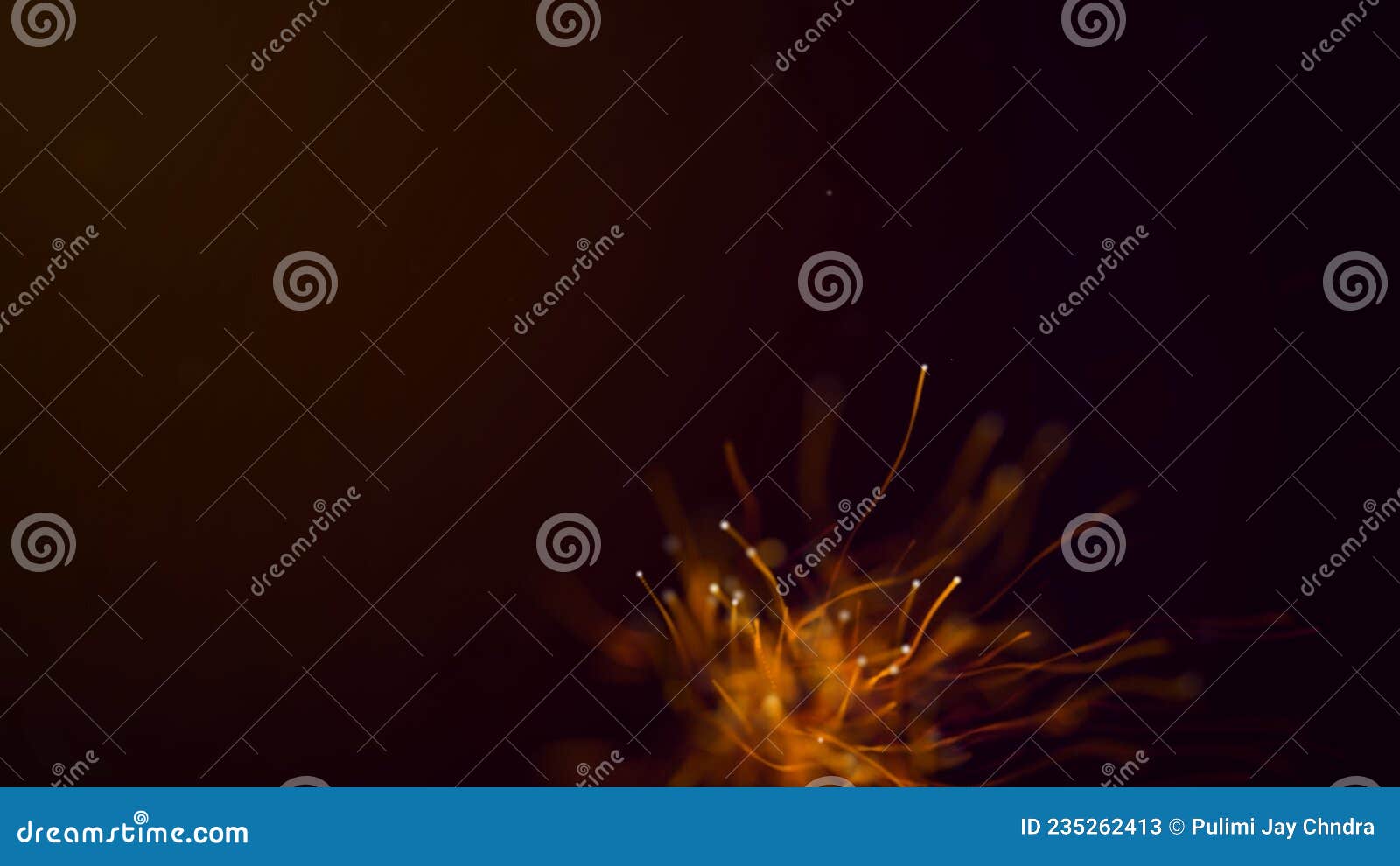 Abstract Aqua Orange Particle Background, Orange Floating Particles ... Abstract Aqua Orange Particle Background, Orange Floating Particles ...