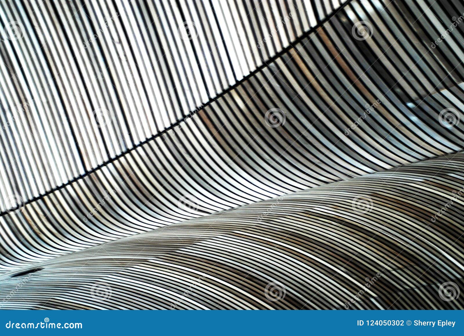ABSTRACT- Architectural Details of a Wavy Wooden Ceiling Stock Photo ...