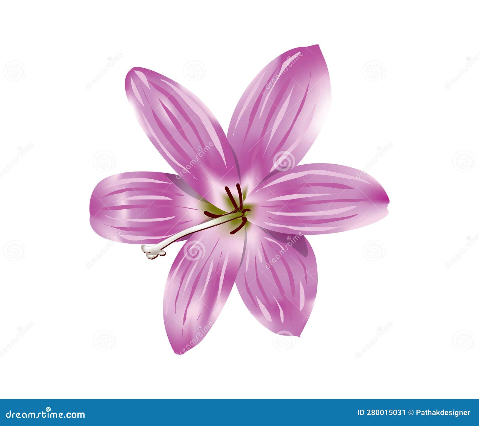 Abstract Artistic Creative Detailed Lily Flower Stock Vector ...
