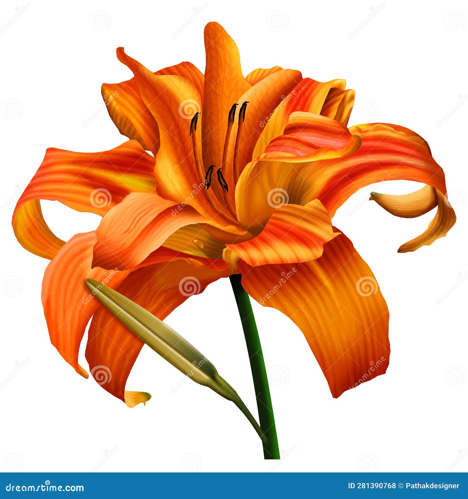 Abstract Artistic Creative Orange Flower Stock Photo - Illustration of ...